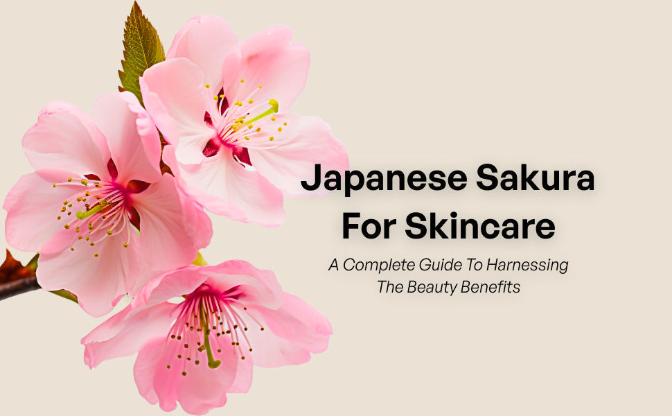 Japanese Sakura Extract 5 Skin Benefits | ILEM JAPAN