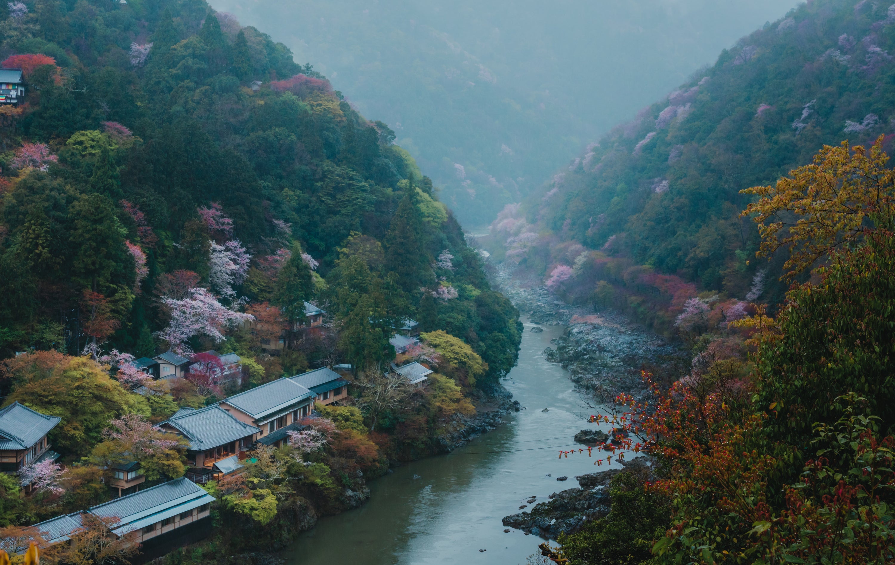 Buy Japanese Wellness Kits | Premium Wellness Sets - ILEM JAPAN