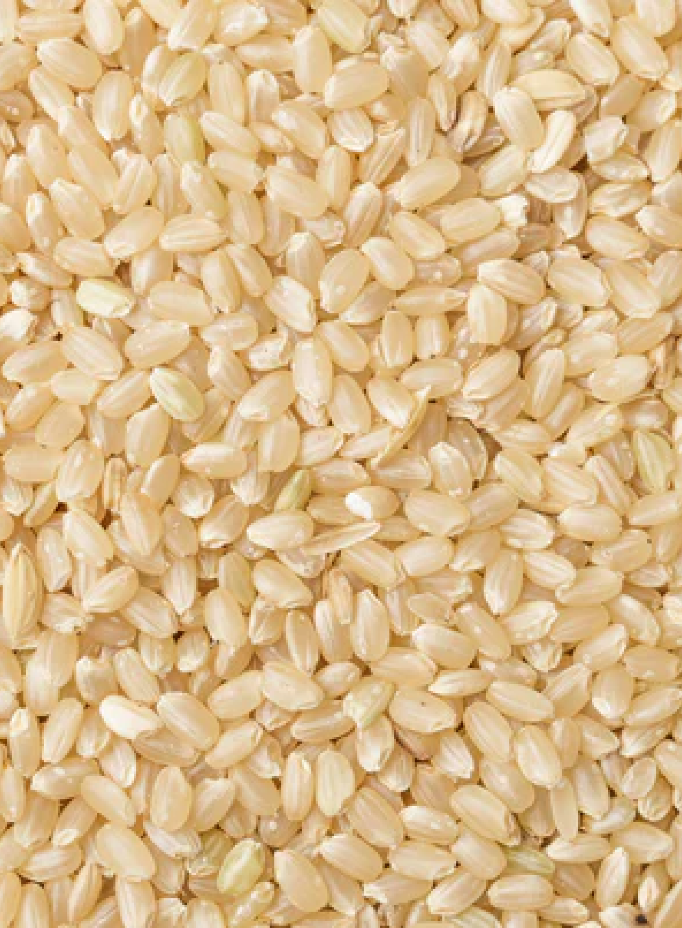 Buy Japanese Skincare Products Online | J Beauty Products - ILEM JAPAN