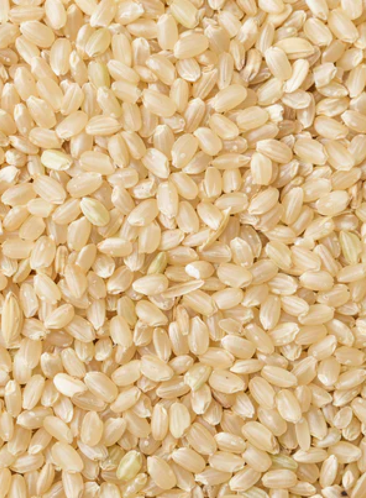 Buy Japanese Skincare Products Online | J Beauty Products - ILEM JAPAN