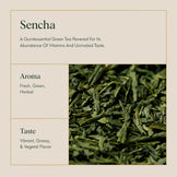 Tri Tea Bento - Sencha, Genmaicha and Hojicha Trio | ILEM JAPAN
